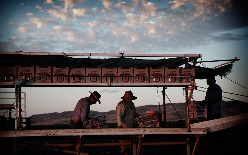 Westlands, Randi Lynn Beach