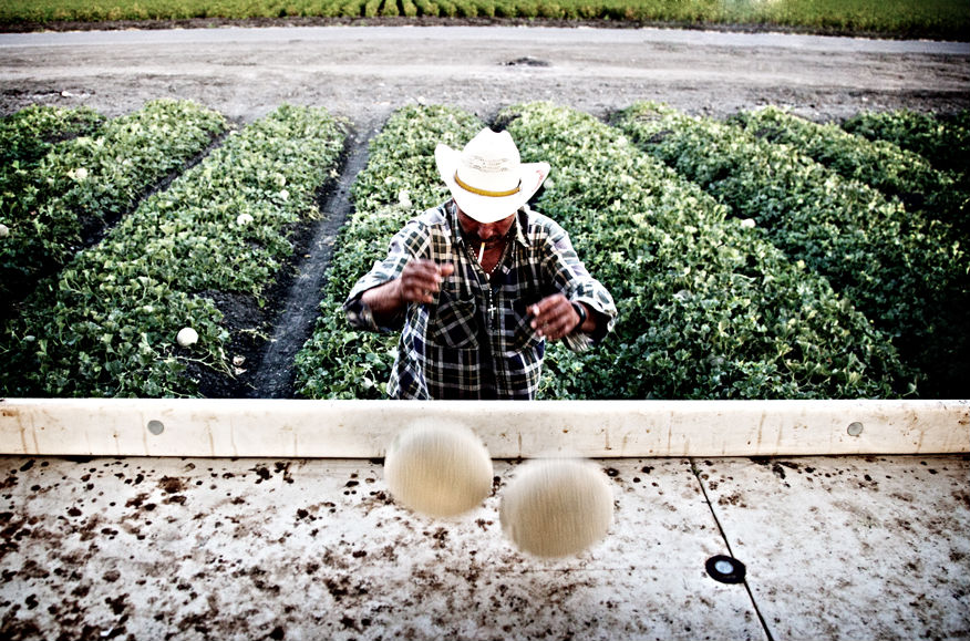 Westlands, Randi Lynn Beach