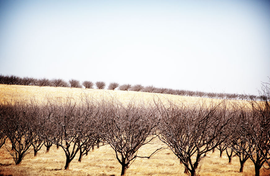 Westlands, Randi Lynn Beach