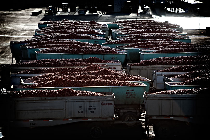 Westlands, Randi Lynn Beach